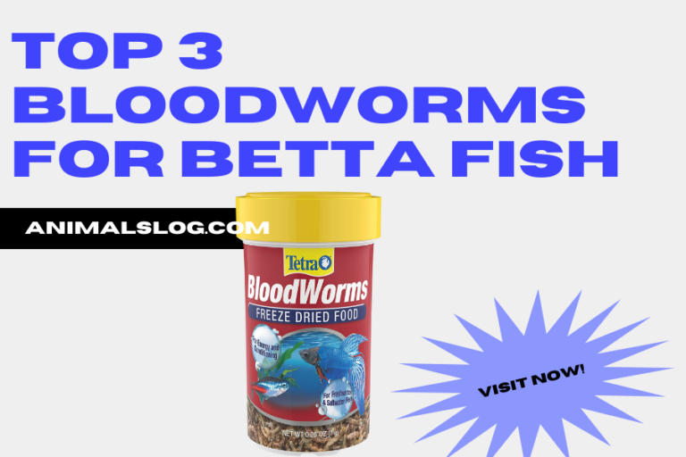Are Bloodworms For Betta Fish Good Or Bad? - Animals Log
