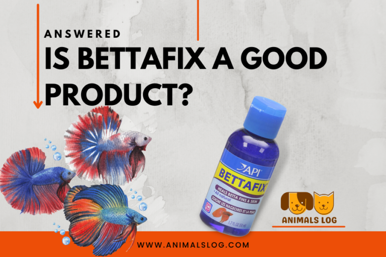 Is Bettafix A Good Product? Answered! - Animals Log