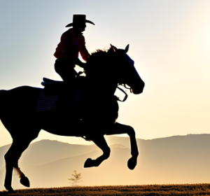 How To Successfully Lope A Horse? Here Lies The Secret! - Animals Log